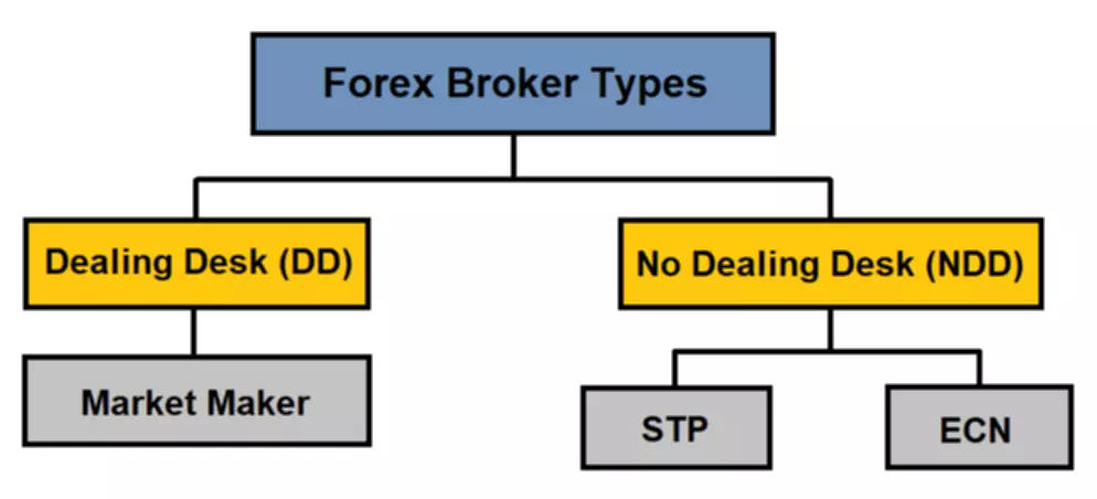 Different Types of Forex Brokers and their Individual Functions | XCritical