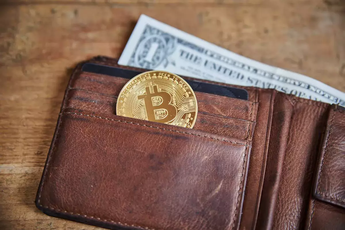 Cryptocurrency Wallet Development: How to Create a Crypto Wallet ...